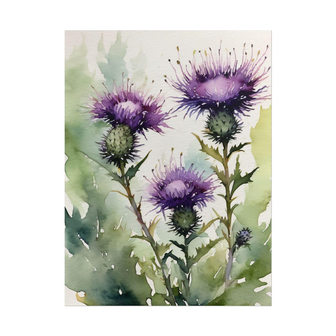 Thistle Watercolor Painting, Scottish Wildflowers Art Print, Purple ...