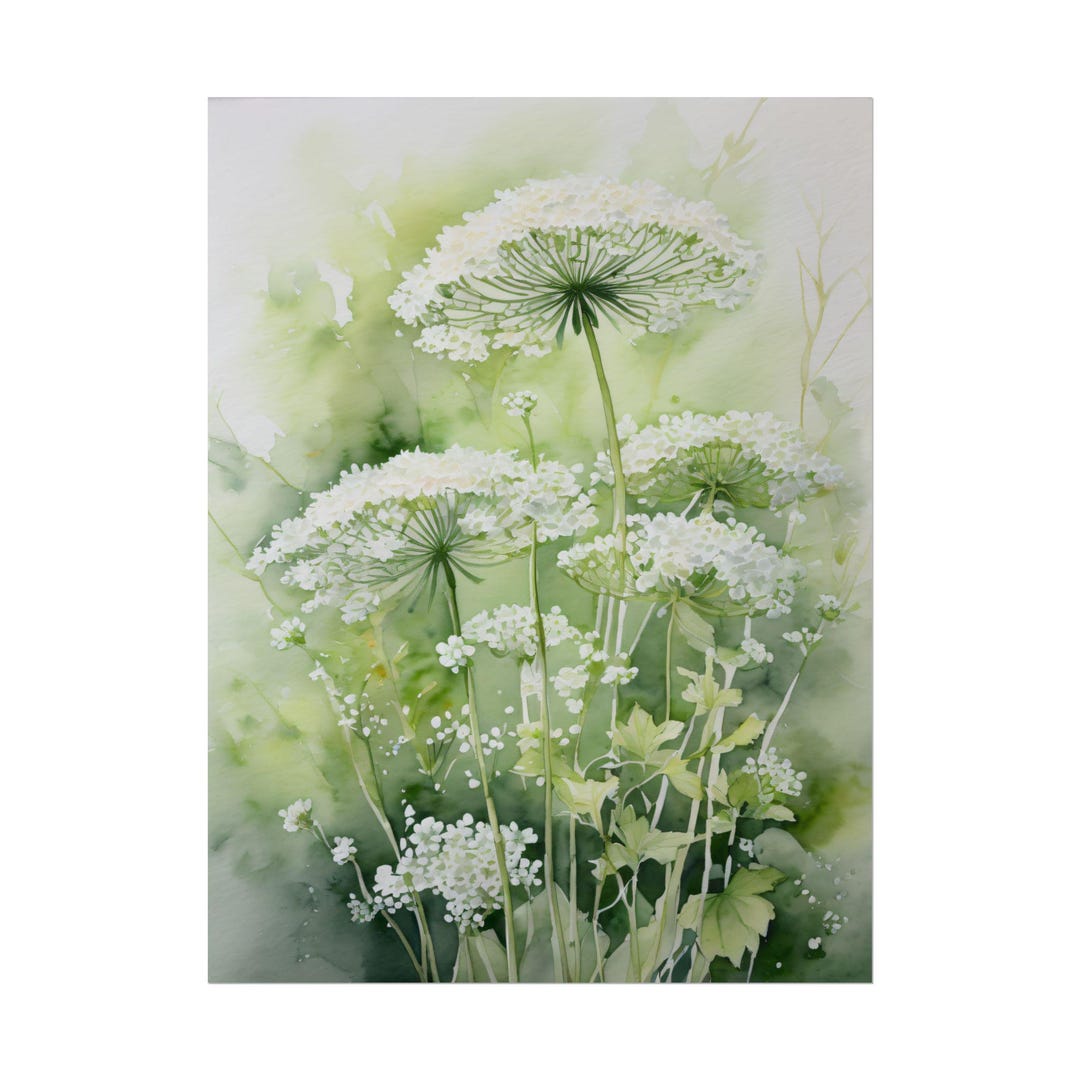 Queen Anne's Lace Watercolor Painting, Wildflower Field Art Print ...