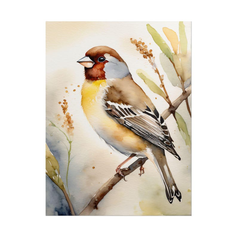 Finch Bird Watercolor Print, Bird on Branch Painting, Floral Bird ...