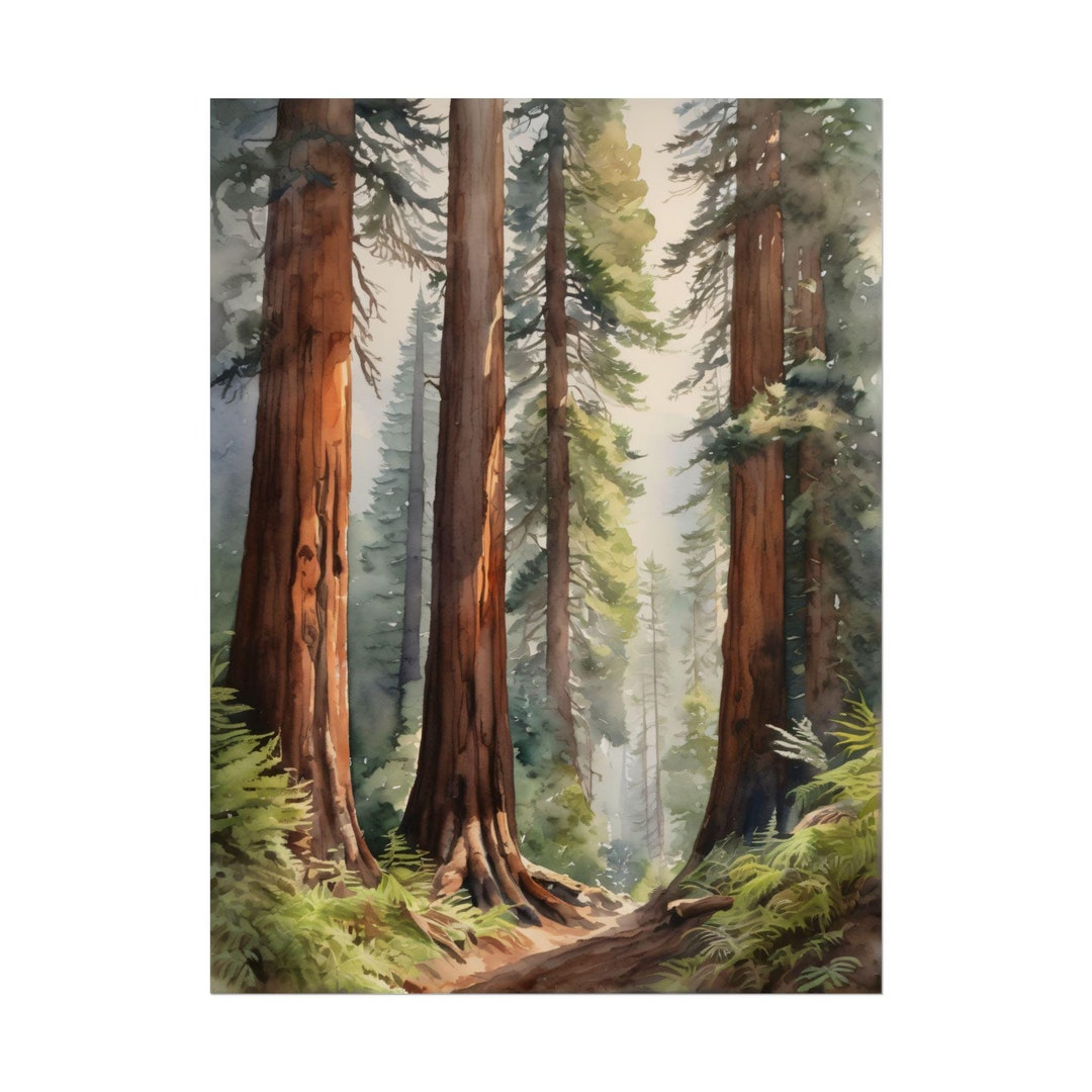 Redwood Forest Watercolor Painting, Sequoia Trees Print, California ...