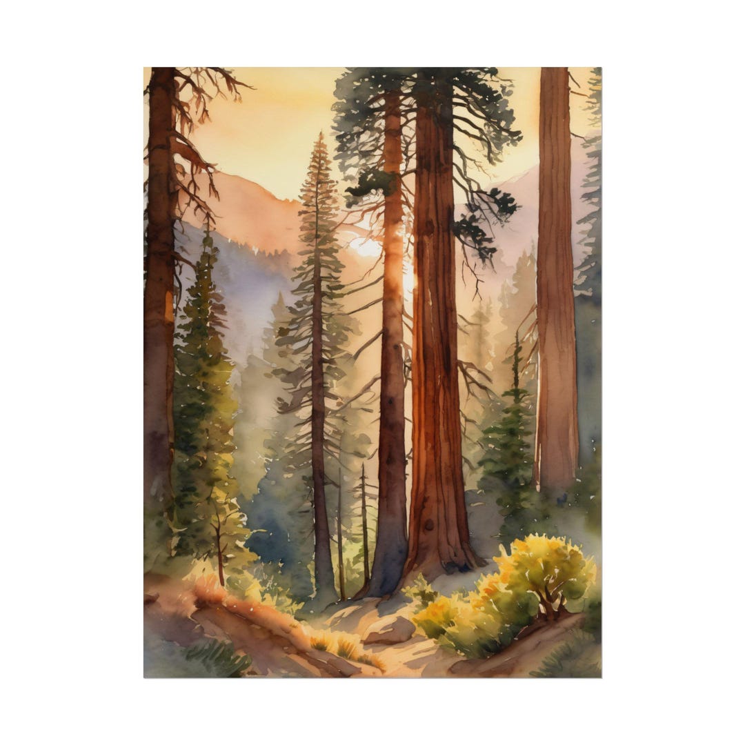Sequoia National Park Watercolor Painting, Pine & Redwood Forest Art ...