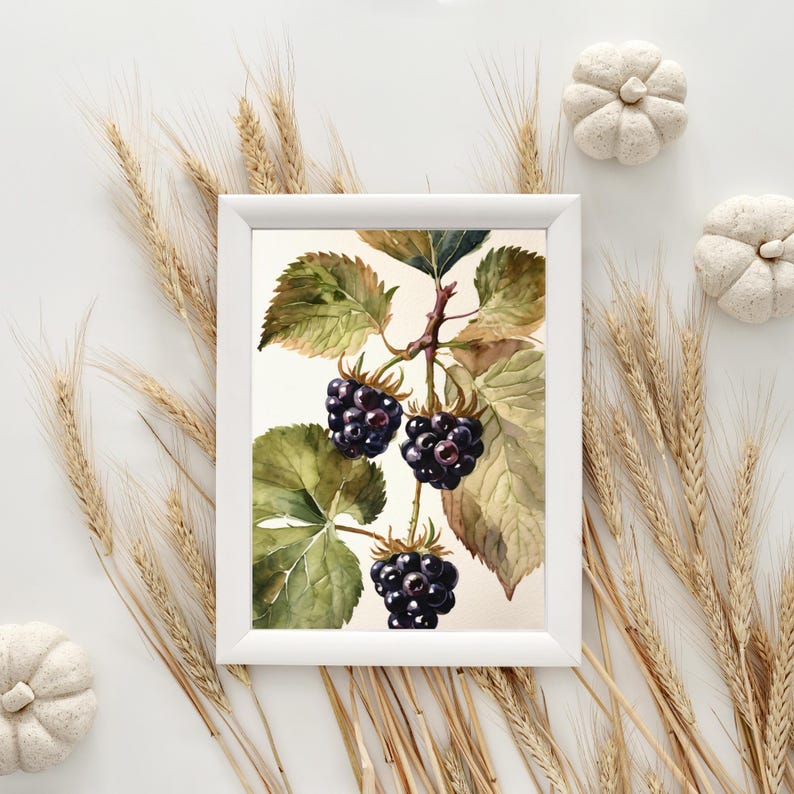 Blackberry Painting, Watercolor Berry Art Print, Botanical Kitchen Wall ...