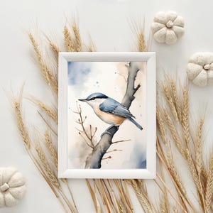 Nuthatch Watercolor Art Print, Bird Painting Wall Decor, Woodland Bird ...