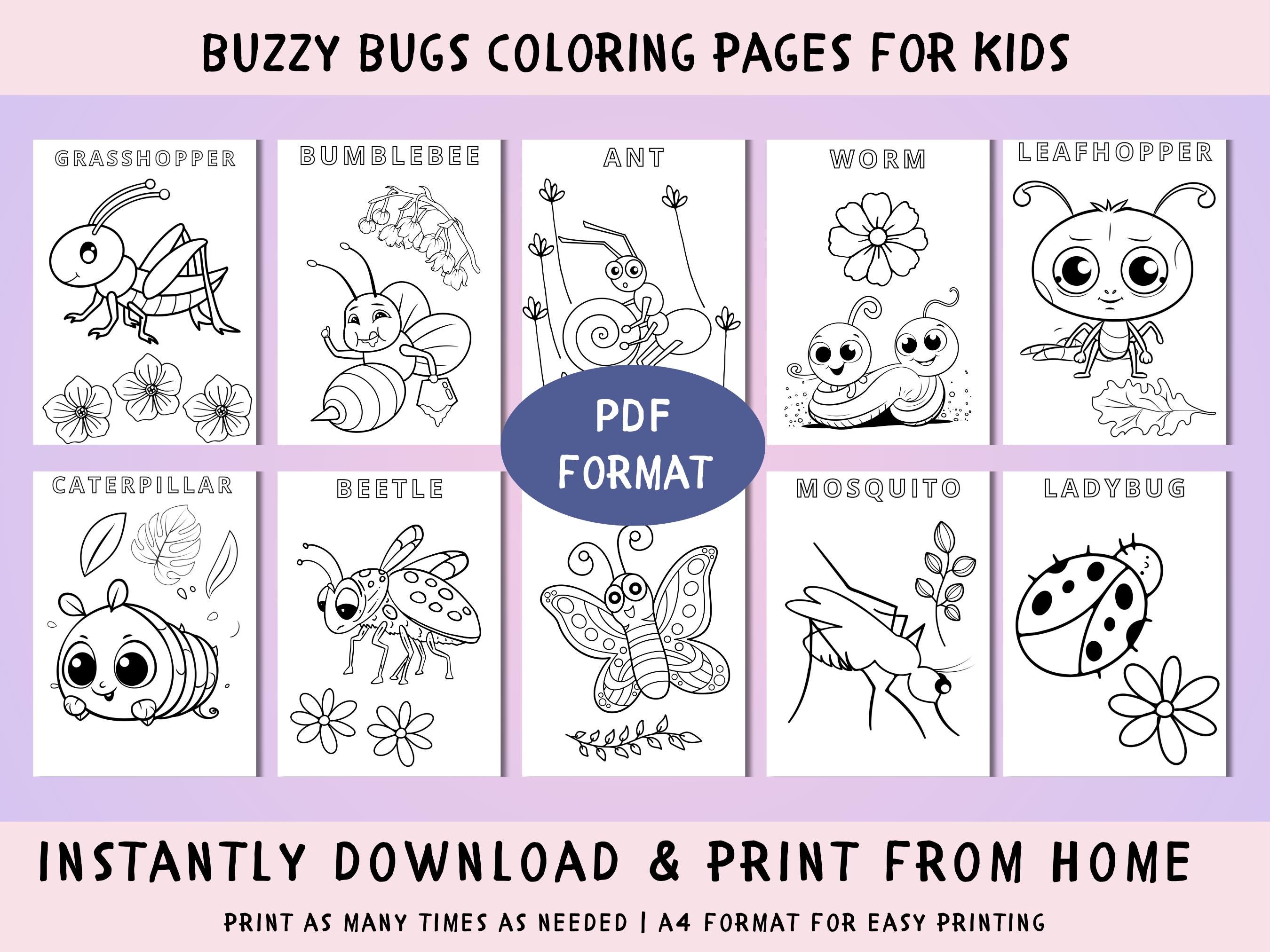 Buzzy Bugs Coloring Pages for Kids | Printable Insect Coloring Book ...