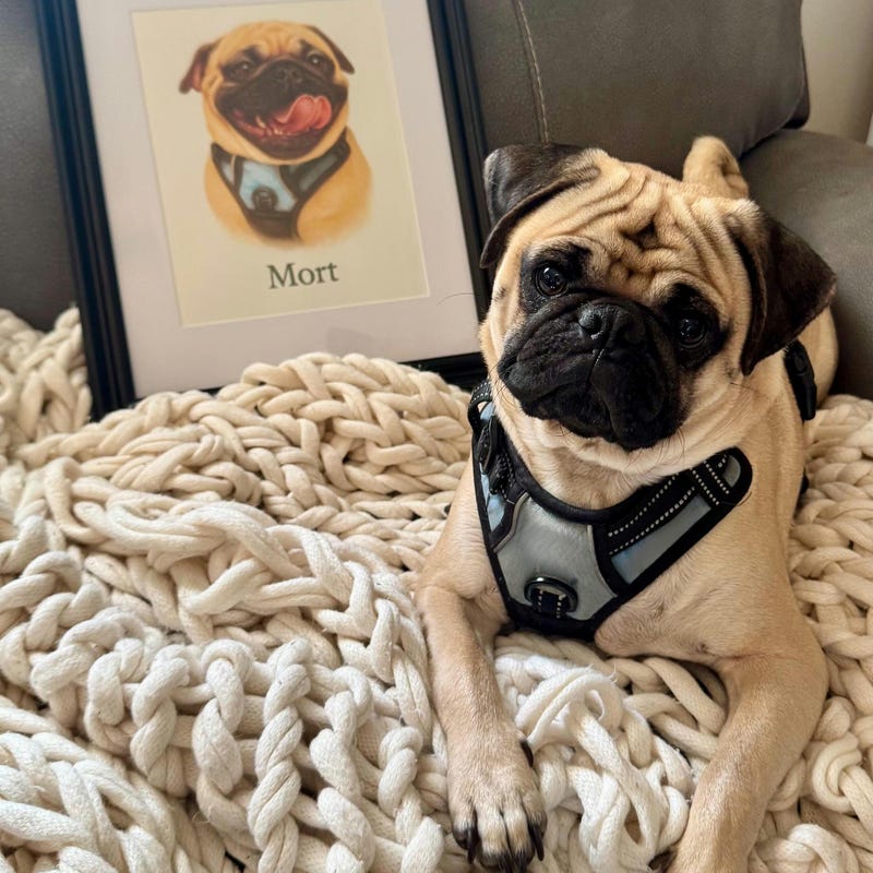 Portrait of Pet Royal - Etsy