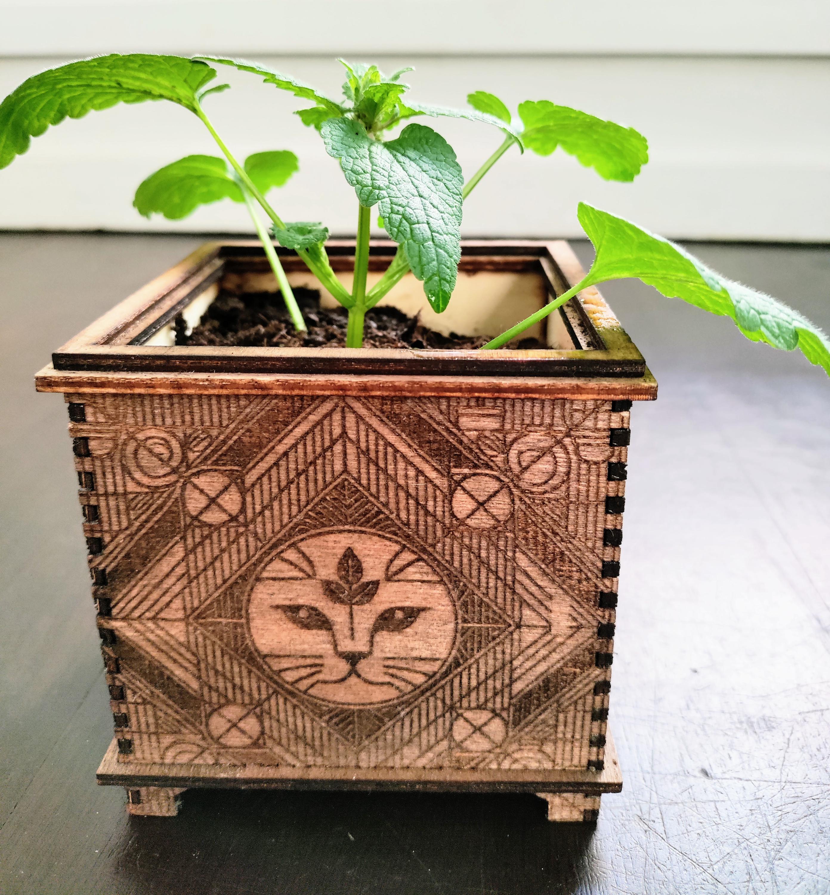 DIY Herb/plant Pot Laser Cut Design (adjustable & Personalized) - Etsy