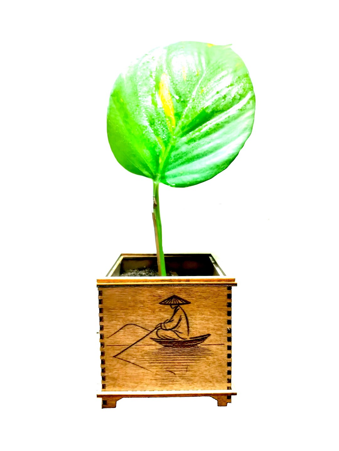DIY Herb/plant Pot Laser Cut Design (adjustable & Personalized) - Etsy