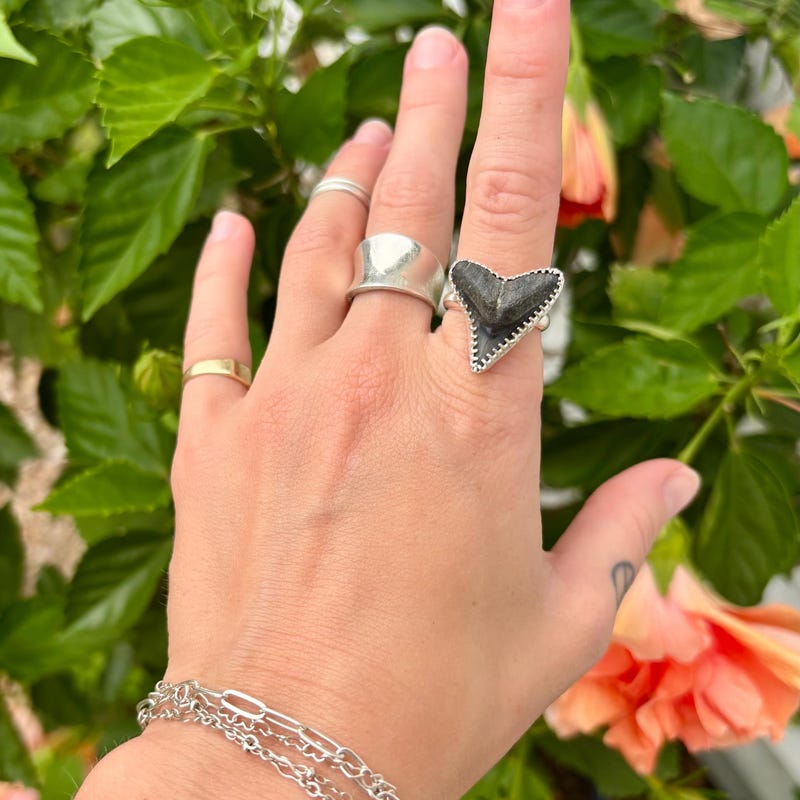 Shark Tooth Ring - Etsy