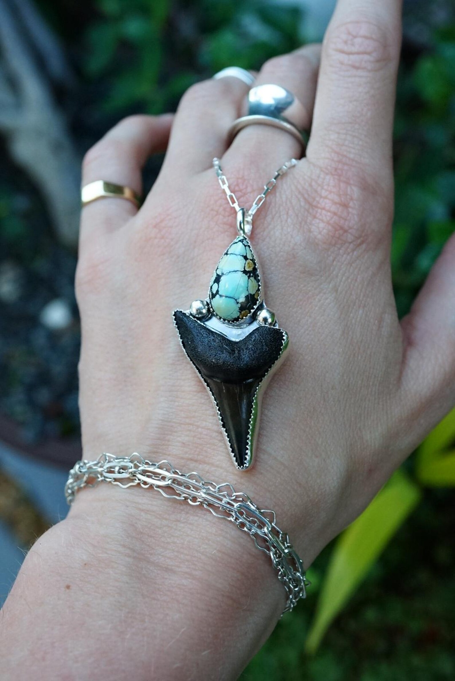 Megalodon Shark Tooth and Turquoise Sterling Silver Necklace 24” Chain ...