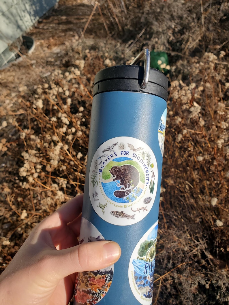 Beavers for Biodiversity Sticker: Watercolor Wildlife Ecology Art - Etsy