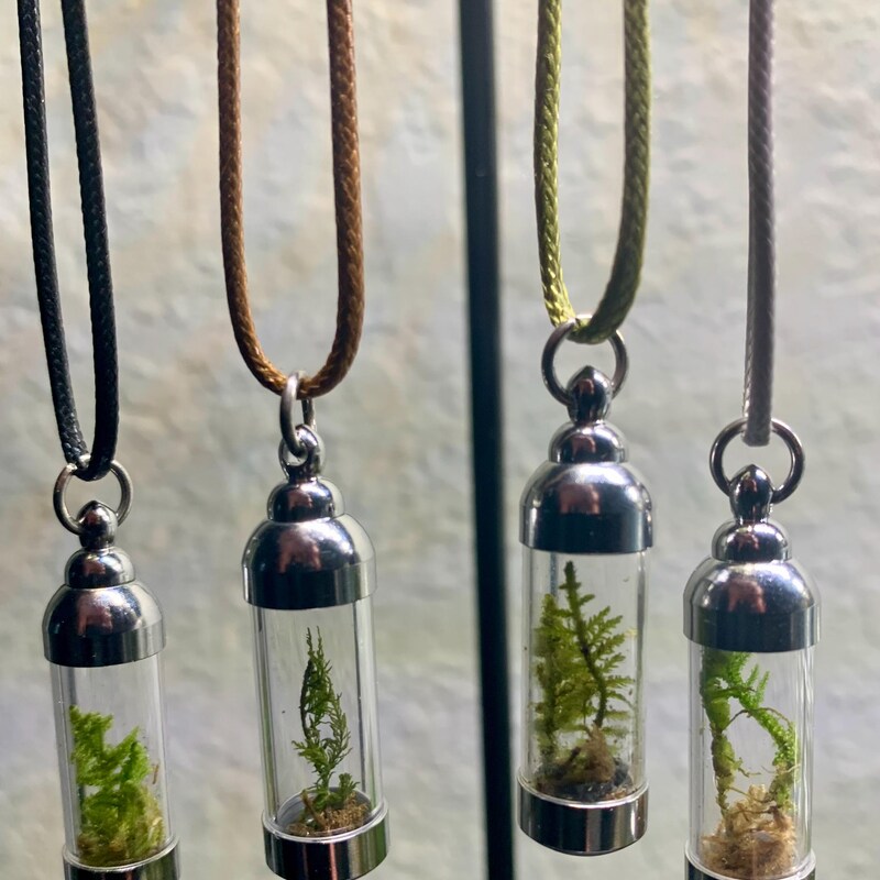 Terrarium Necklace - Etsy