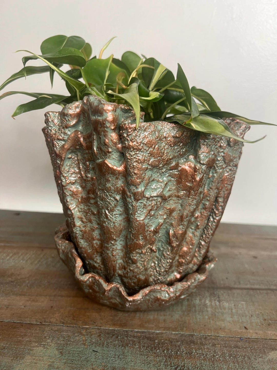 6" Worn Penny Planter - Handmade - Etsy
