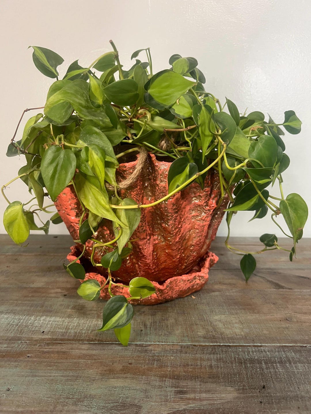 8" Coral Planter - Handmade - Etsy