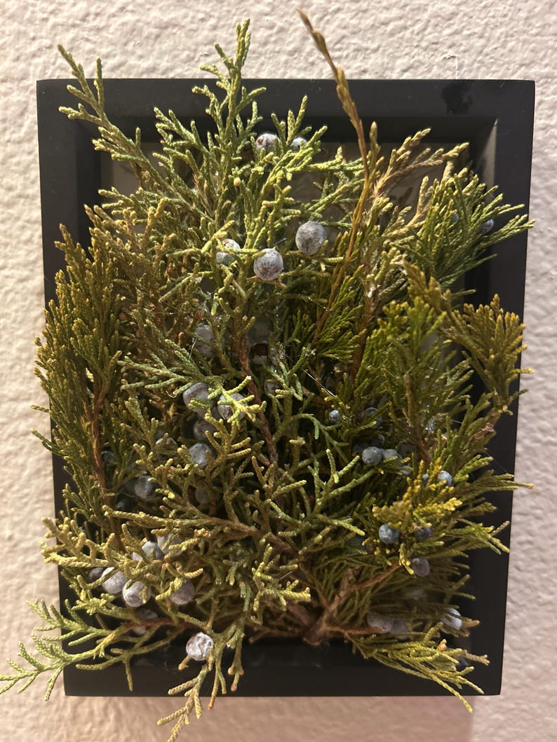 Wood Branch Wall Art - Etsy