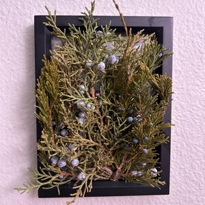 Wood Branch Wall Art - Etsy