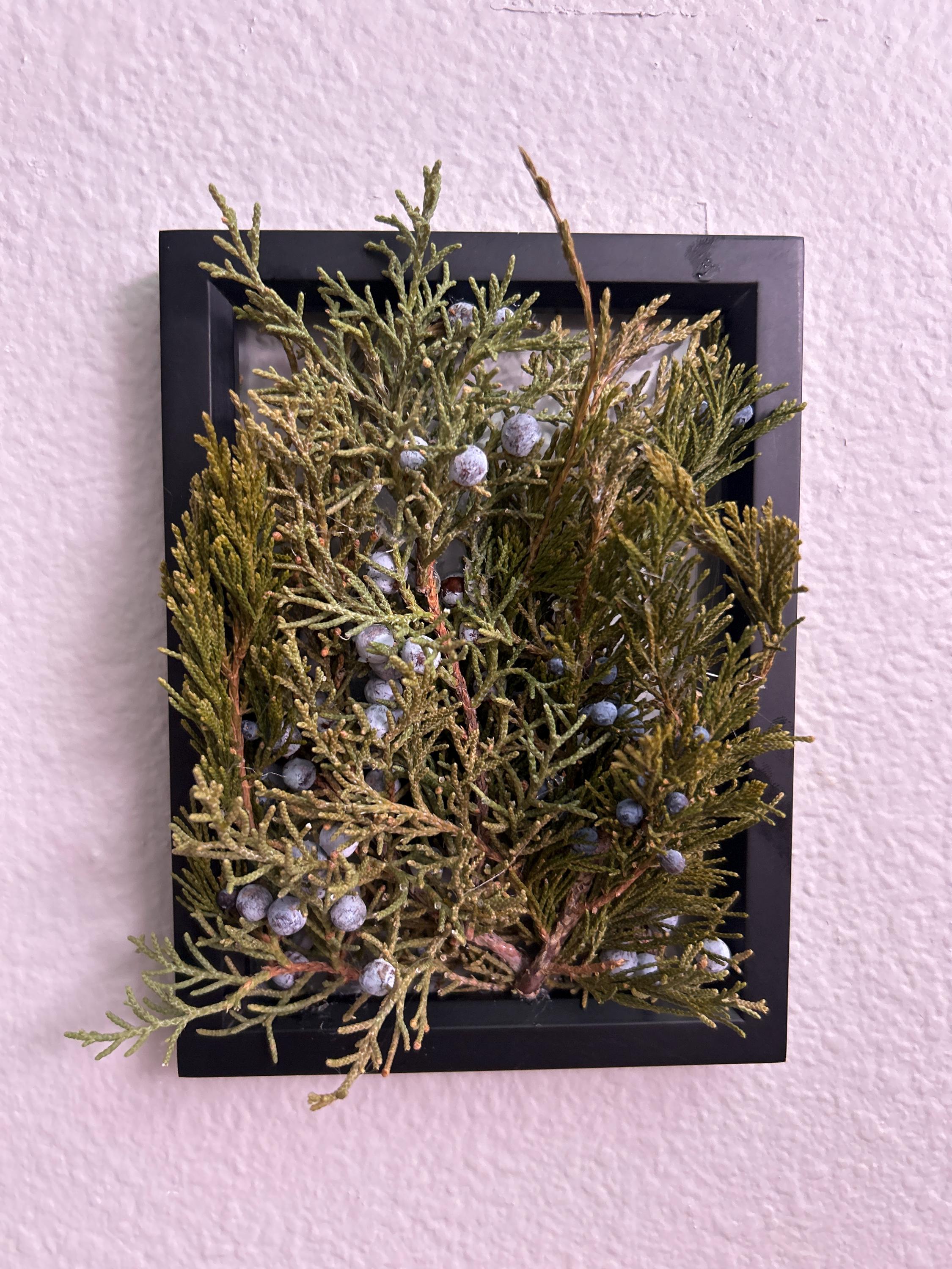 Wood Branch Wall Art - Etsy