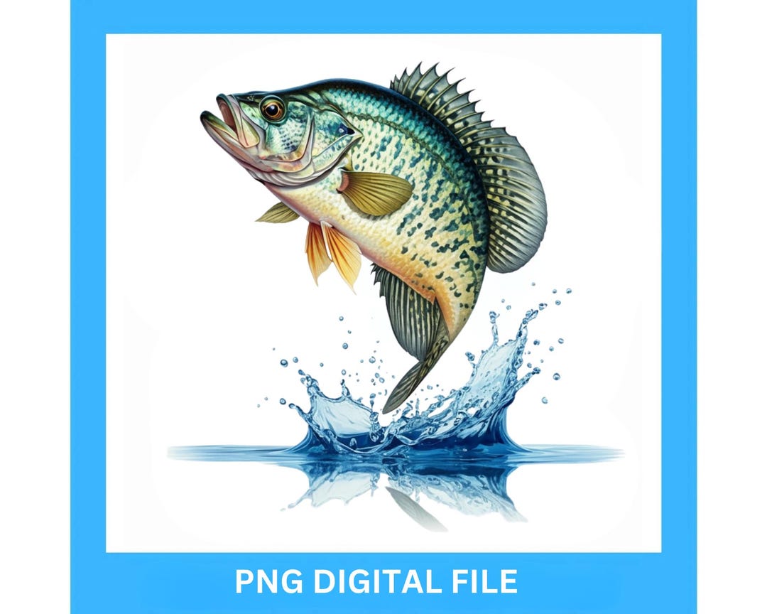 Crappie Fish PNG Digital Design, Crappie Clipart for T-shirts ...