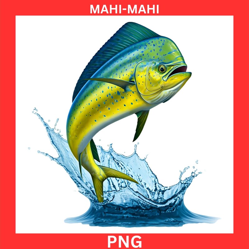 Mahi Mahi Drawing - Etsy