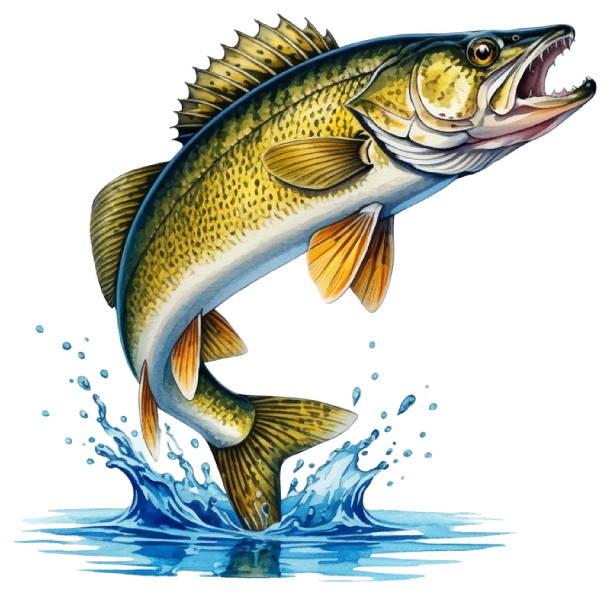 Walleye Fish PNG, Fishing Father's Day Gift, Fisherman Gift, Fishing ...