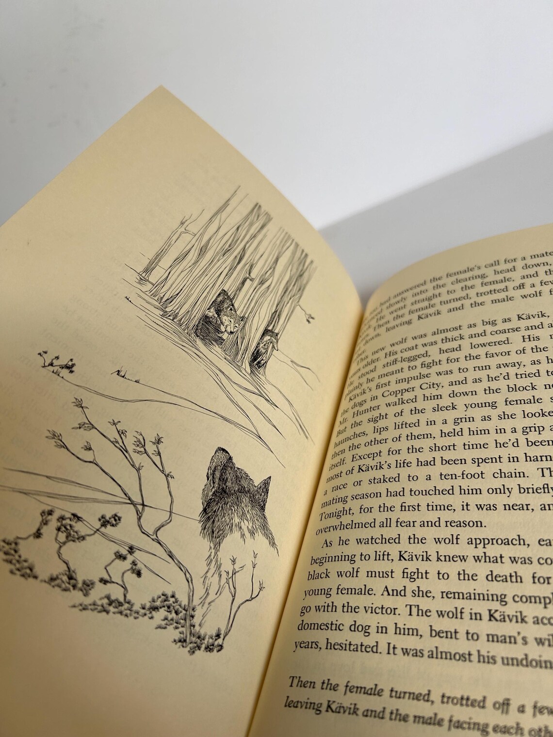 1968 Kavik the Wolf Dog by Peter Parnall - Etsy