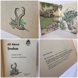 1956 "all About Snakes” Vintage Book by Bessie M. Hecht - Etsy