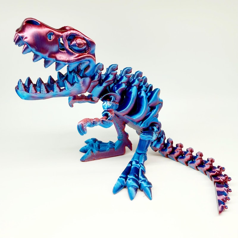 Eco Skeleton - Etsy