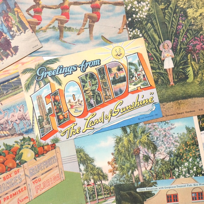 Florida Postcard - Etsy