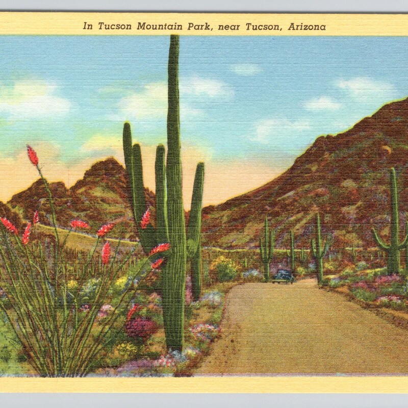 Tucson - Etsy