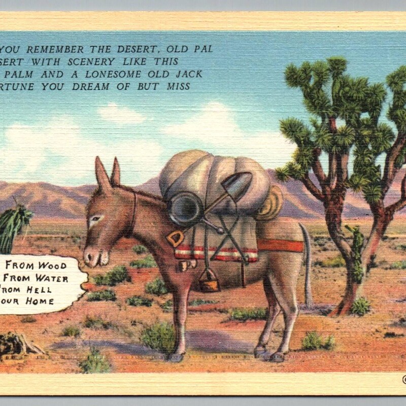 Comic Postcards - Etsy