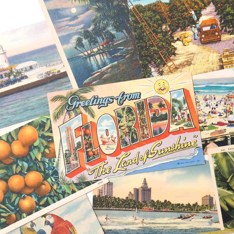 Florida Postcard - Etsy