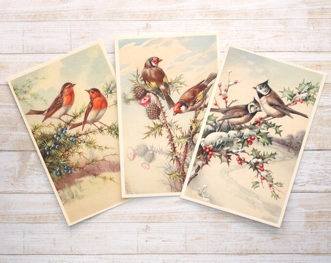 Bird Postcards Set of 3 Vintage European Birds Printed in Belgium ...