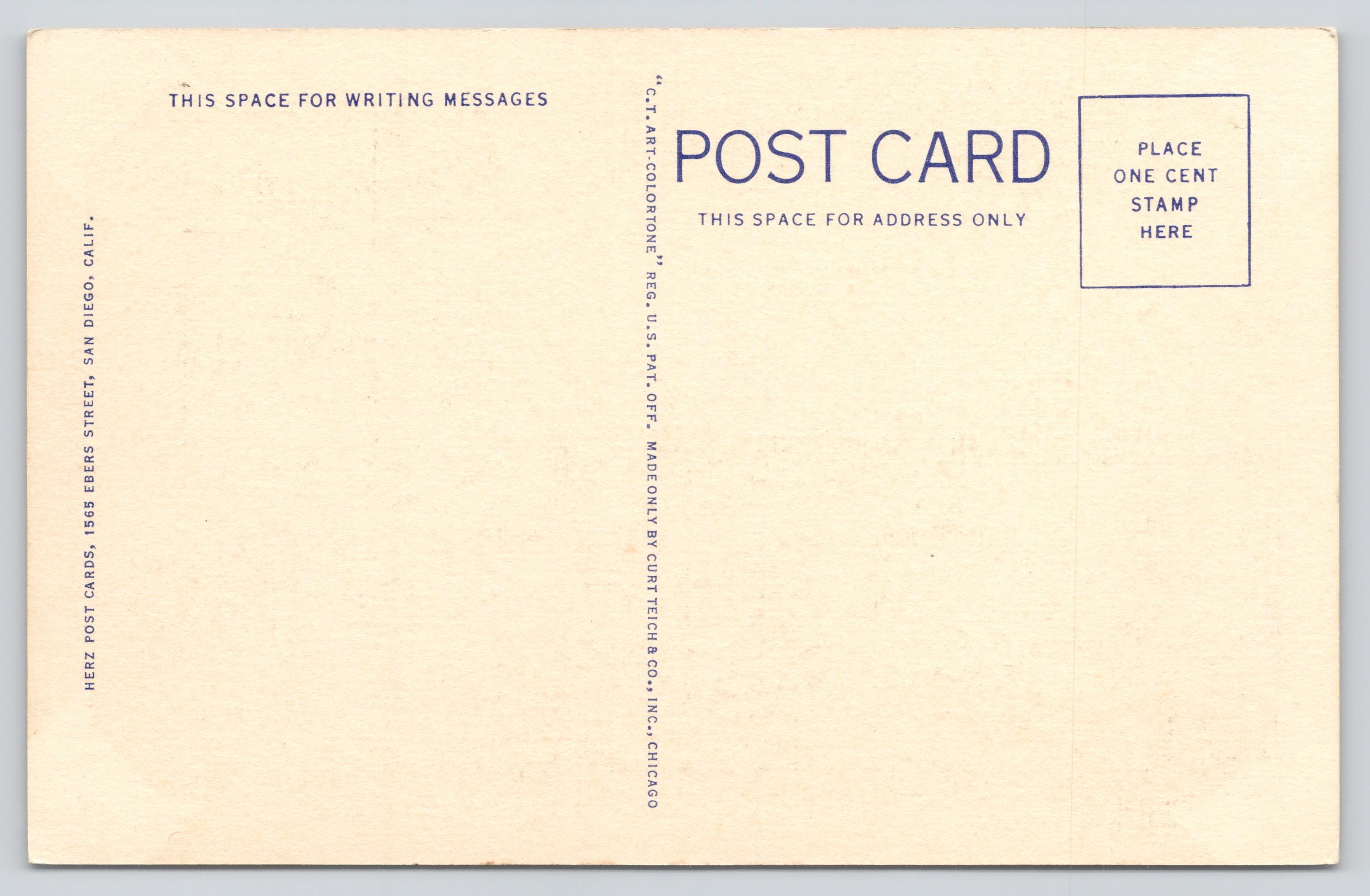 Donkey Postcard - Lonesome Old Jack, Donkey in the Desert Miles From ...