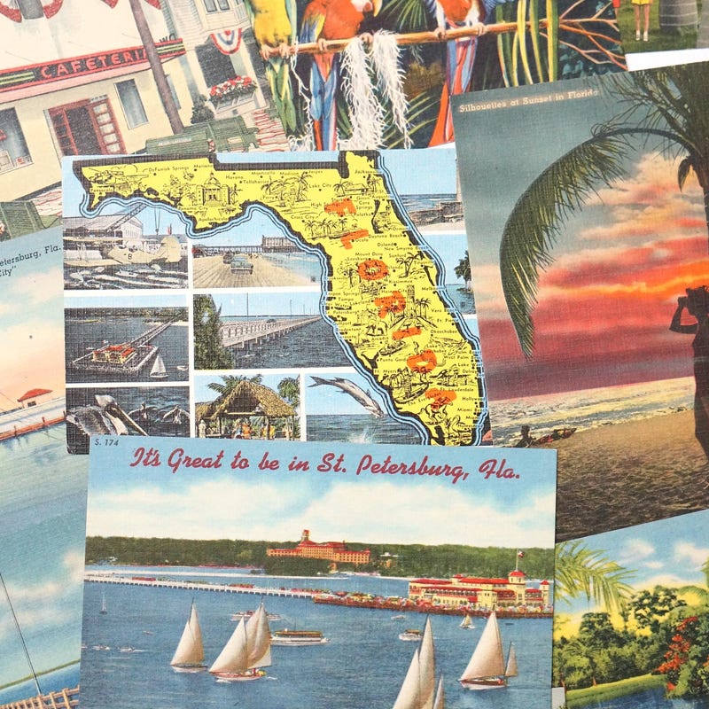 Florida Postcard - Etsy