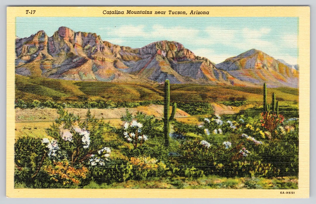 Tucson Arizona Postcard of Catalina Mountains 1940's Vintage Linen Post ...