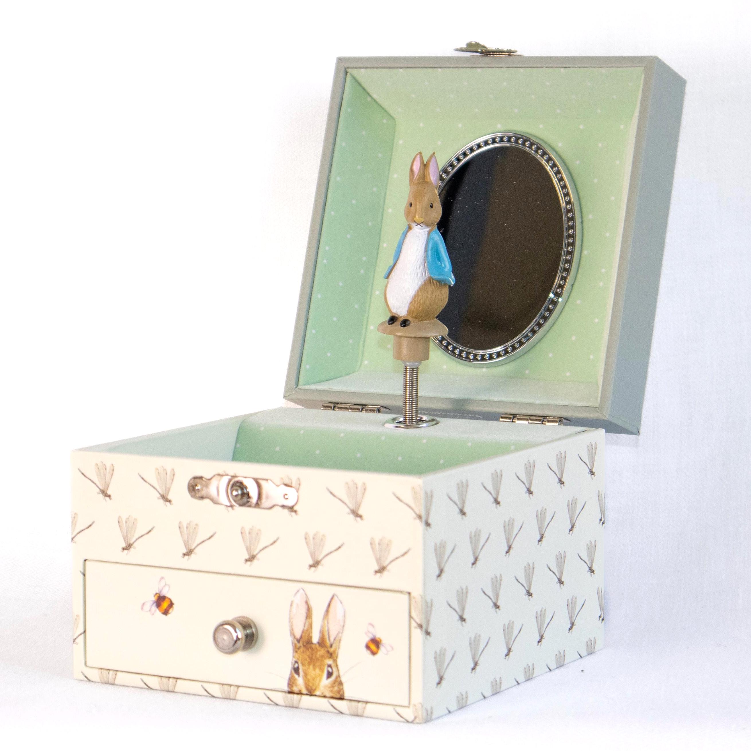 Peter Rabbit Dragonfly Music Box - Etsy