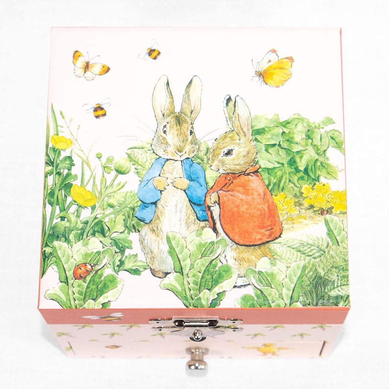 Peter Rabbit Carrot Music Box - Etsy