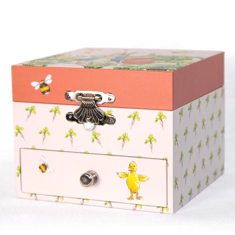 Peter Rabbit Carrot Music Box - Etsy