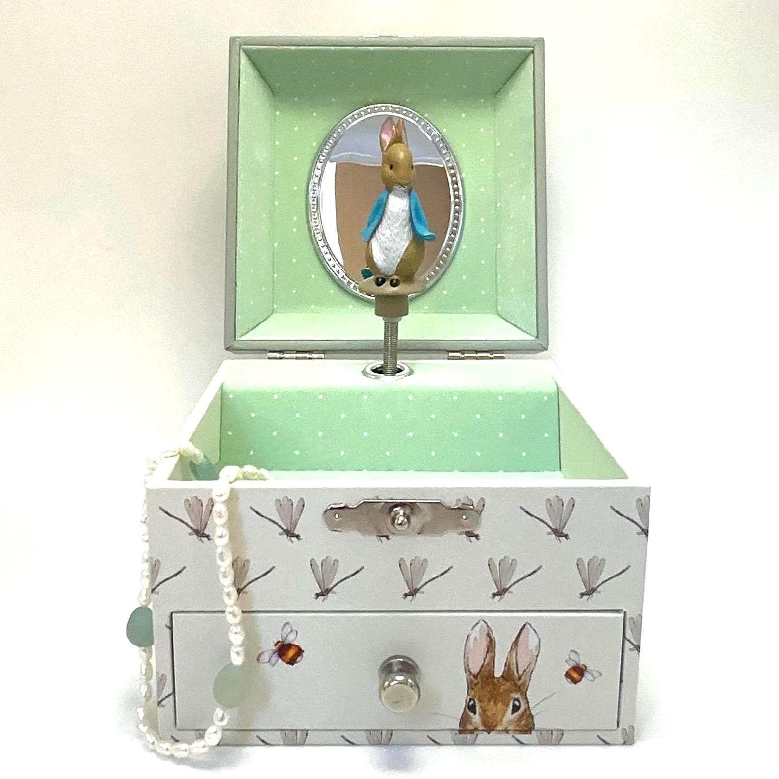 Peter Rabbit Dragonfly Music Box - Etsy