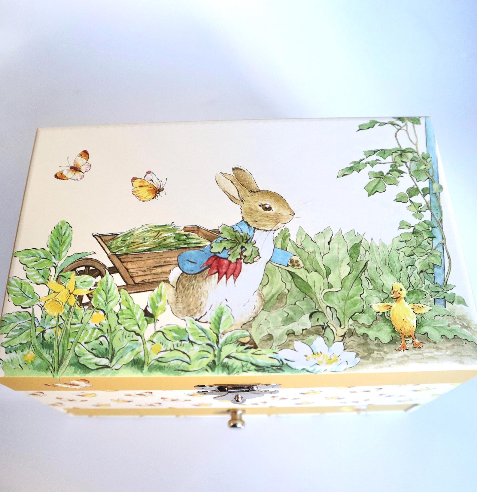 Peter Rabbit Musical Treasure Box - Large - Etsy