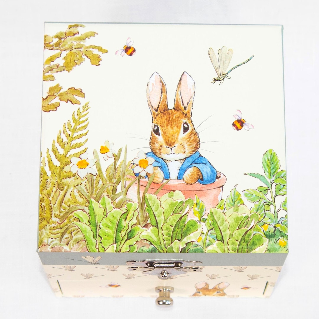 Peter Rabbit Dragonfly Music Box - Etsy