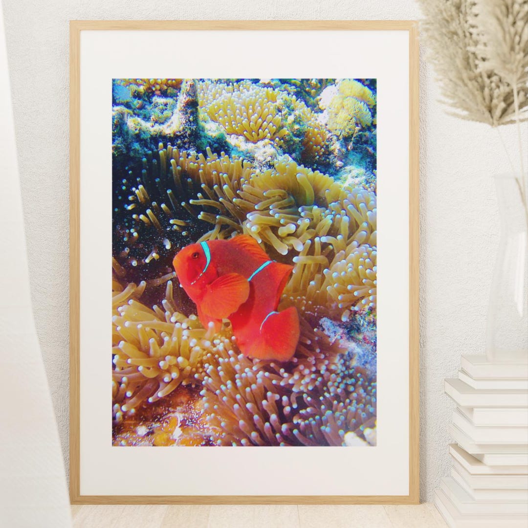 Travel Poster, Clownfish Ocean Finding Nemo Print, Underwater Wall Art ...