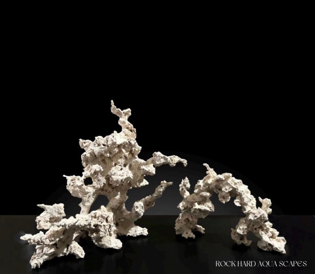 Aquarium, Reef Tank, Reef Rock, Coral, Saltwater Fish, Aquascape ...