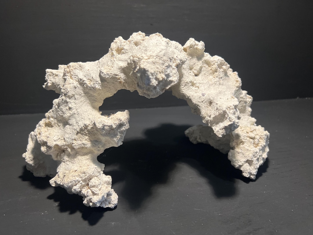 Reef Rock for Aquarium Coral Holder for Reef Tank Saltwater Aquarium ...