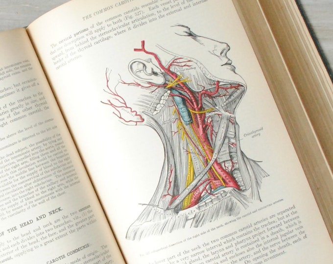 Vintage Grey's Anatomy Book 1924 Printing 21st Edition - Etsy