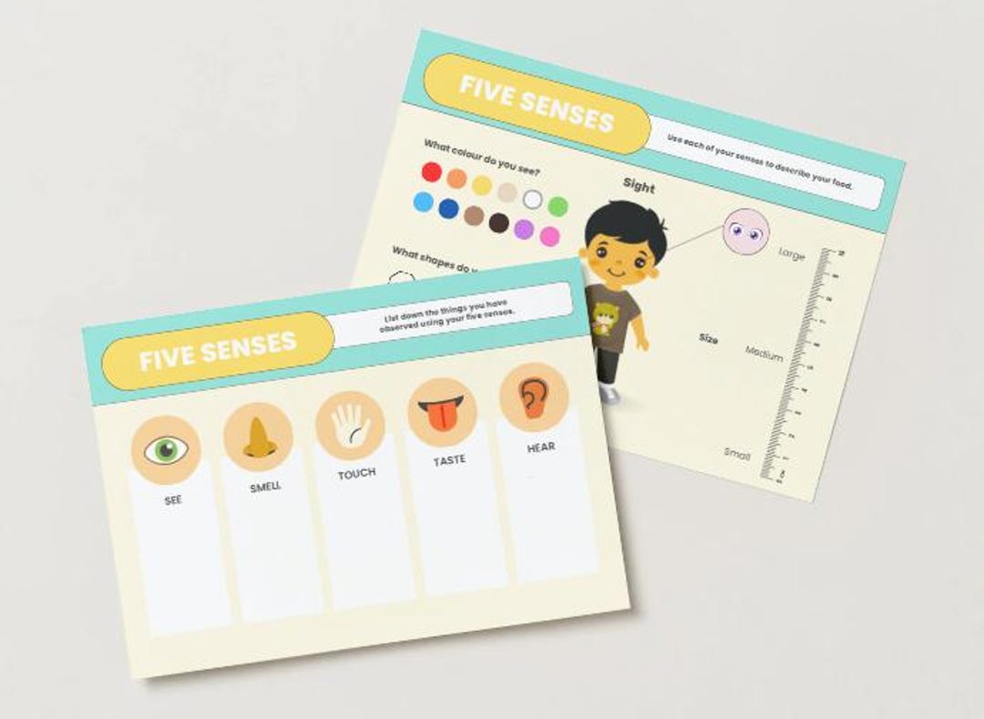 Five Senses Feeding Therapy Posters for Kids Fussy Eater Sensory ...