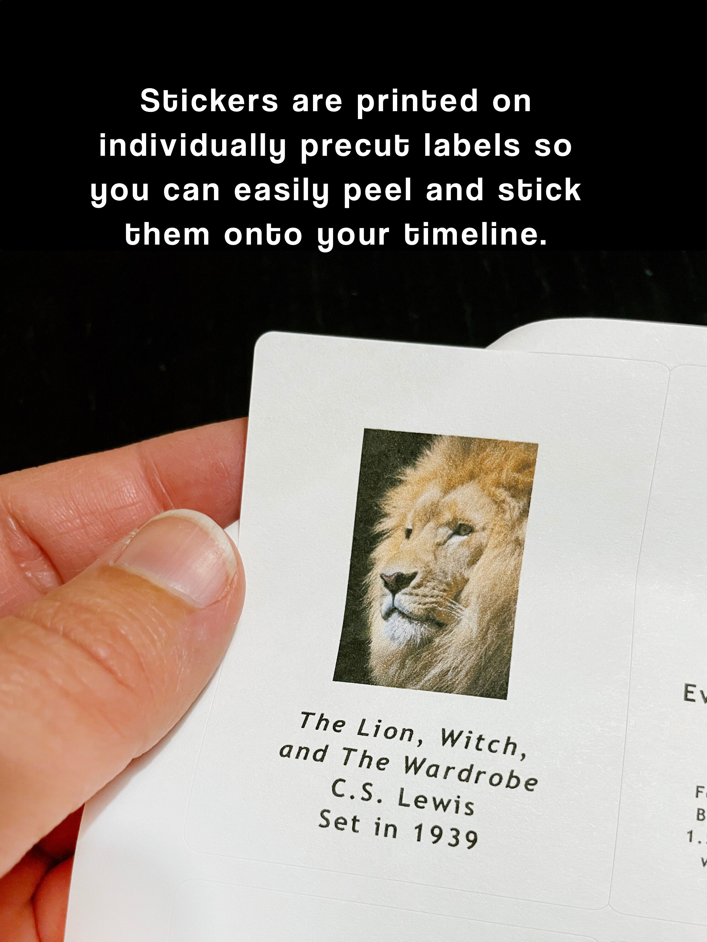 Large Timeline Stickers for CC Challenge A - Etsy