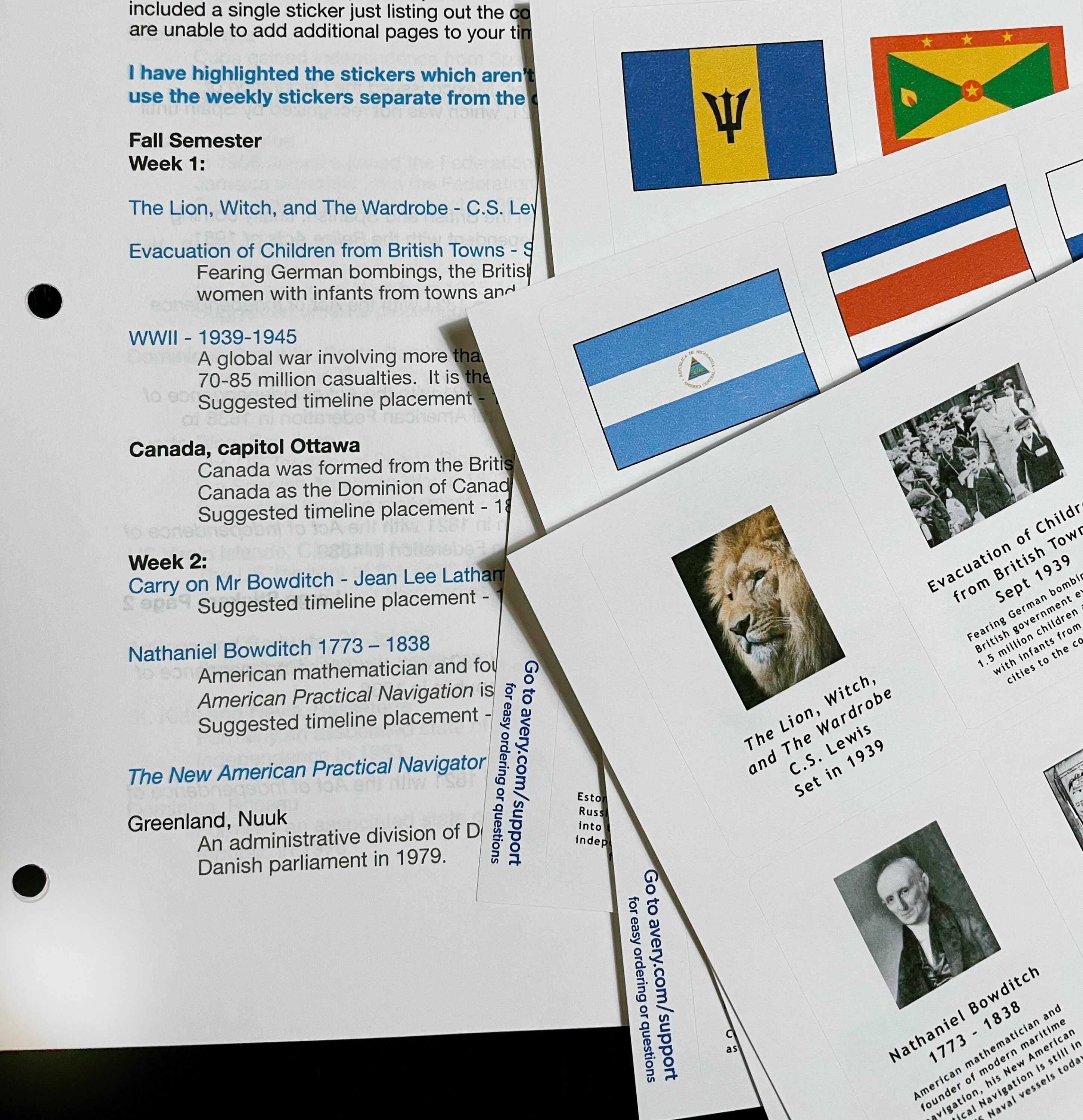 Large Timeline Stickers for CC Challenge A - Etsy