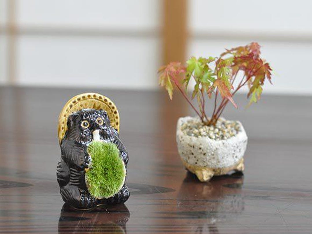 Hr Japan Japanese Handmade Craft Shigaraki Ware 信楽焼 Raccoon Dog TANUKI ...
