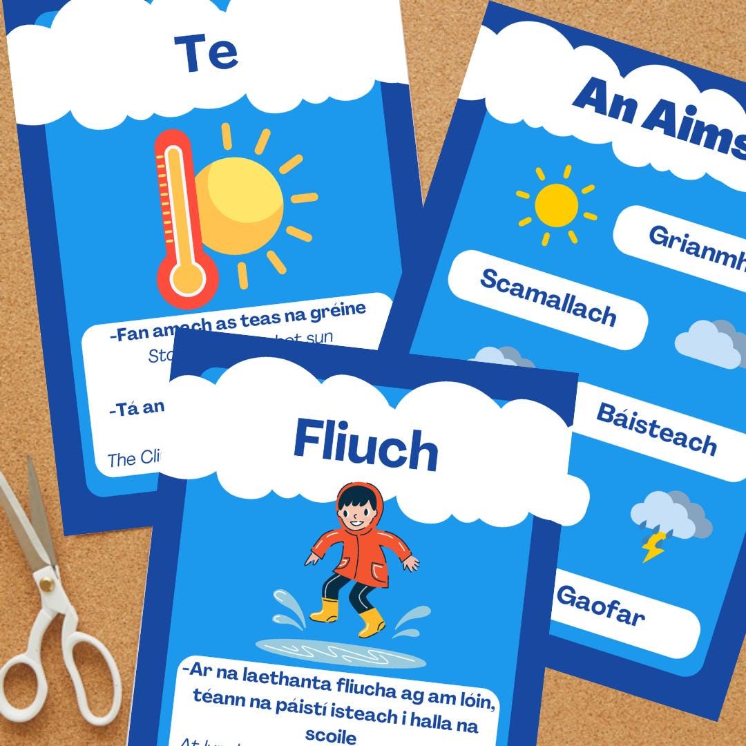 Irish Weather Vocabulary Classroom Posters- 12 an Aimsir Posters as ...