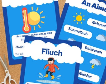 Irish Vocabulary Classroom Posters- Aesthetic Posters for Basic Words ...